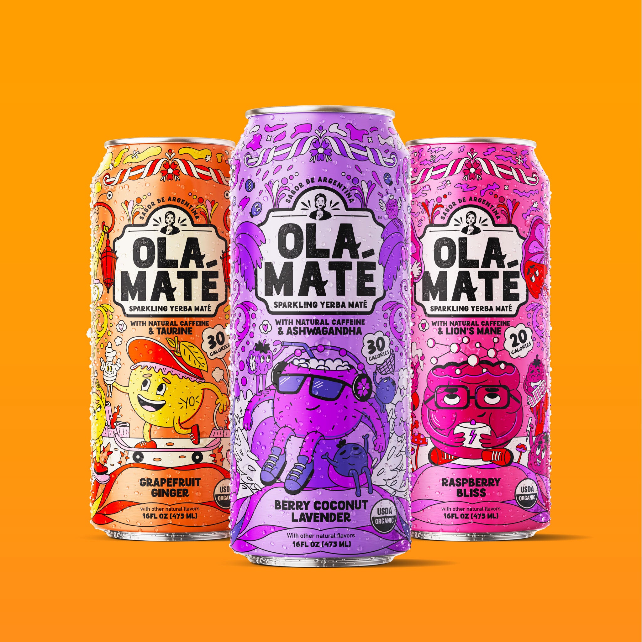 Variety Pack Collection Refreshing Sparkling Maté | Ola Maté – Ola Mate