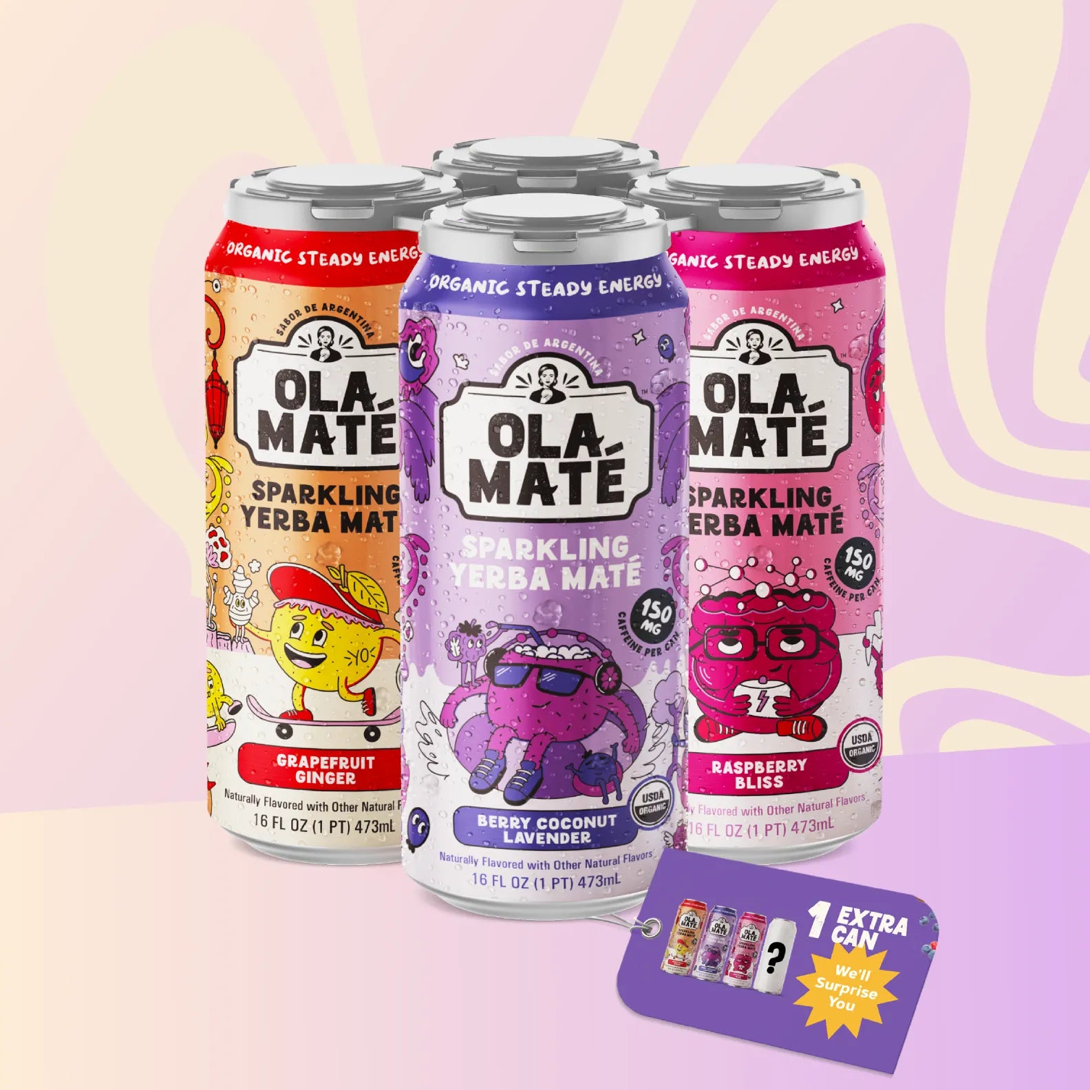 Starter Pack Sparkling Mate – 3 Flavors + 1 Wild Card Can – Ola Mate